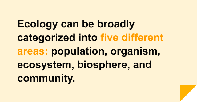 150 Best Environmental Essay Topics & Questions