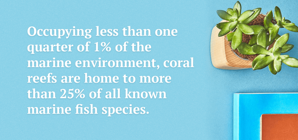 Coral Reef Essay: Descriptive Writing Guide & Coral Reef Research Topics