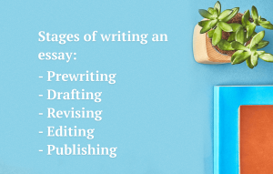 Essay Topics for Grade 8, 9, 10, 12 + Writing Tips and Examples