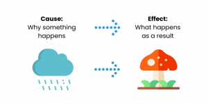 How to Write a Cause & Effect Essay: Examples, Outline, & Tips