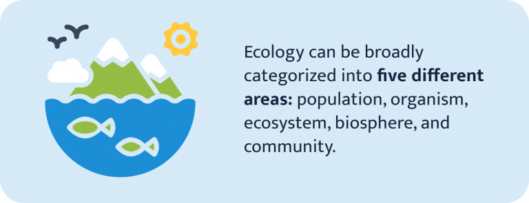 180 Environmental Research Topics & Questions to Write about