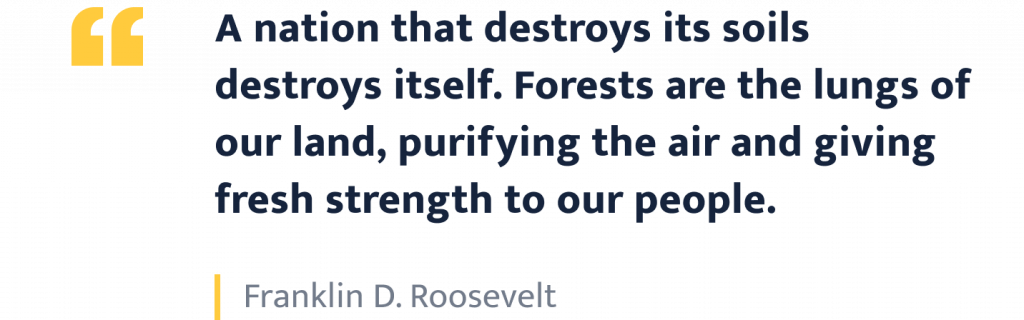 227 Environmental Research Questions & Topics to Write about