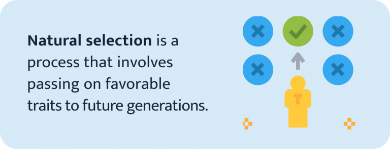 338 Biology Essay Topics & Questions for Research, Project, and ...