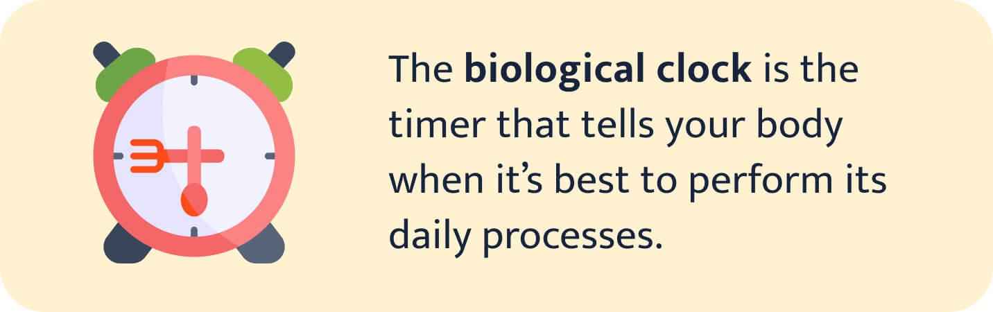 How Listening to the Body Clock Can Help Students Learn Faster & Be ...