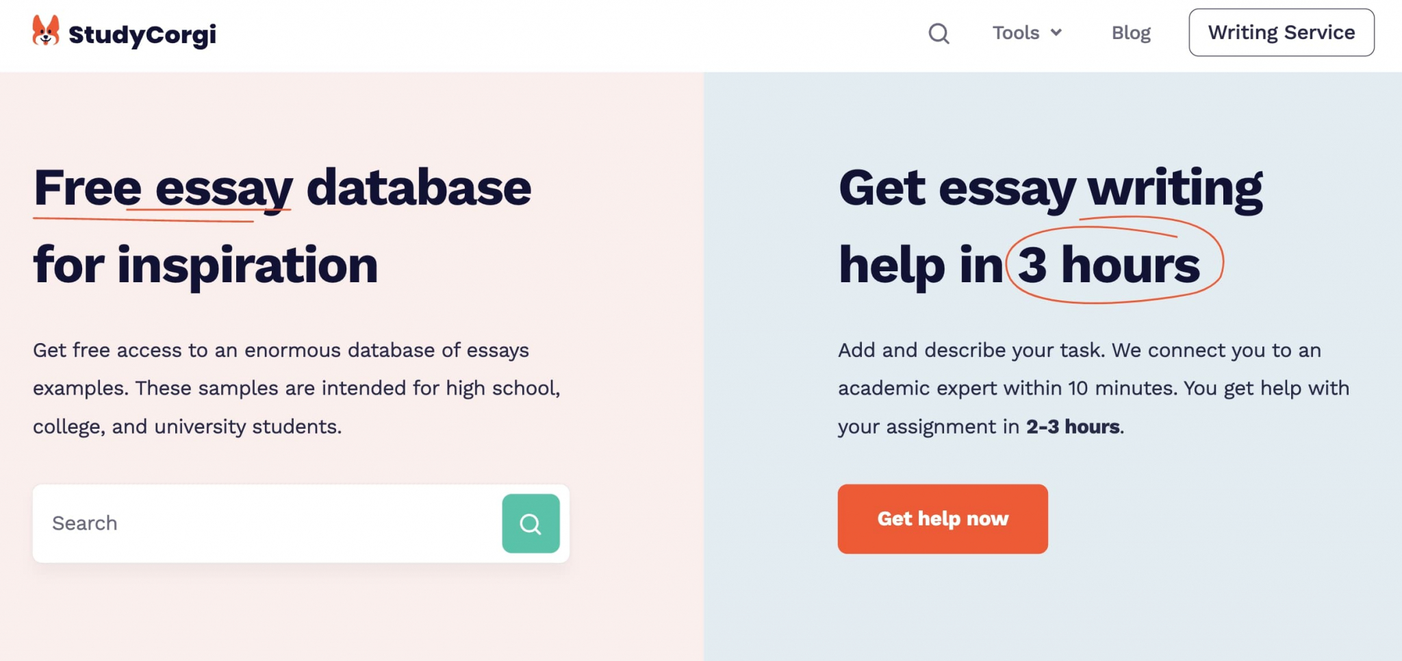 StudyCorgi Review—The Most Comprehensive Free Essay Samples Database
