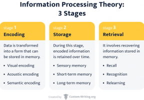 Information Processing Theory: What It Is and How It Can Enhance Learning