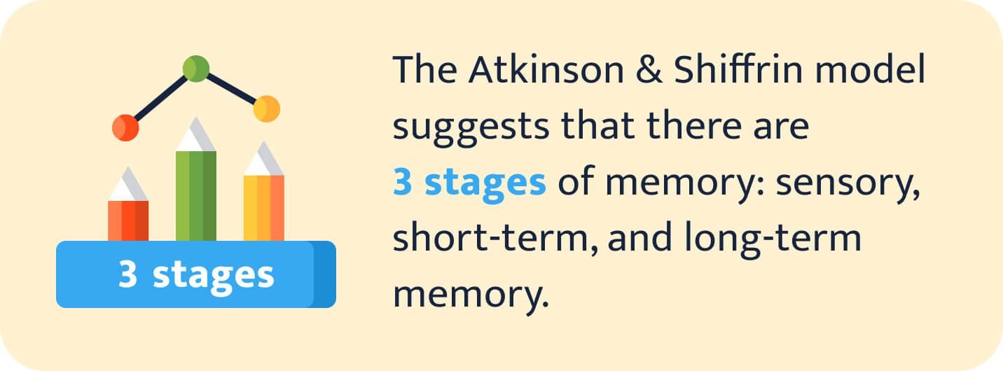 Information Processing Theory: What It Is and How It Can Enhance Learning
