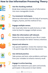 Information Processing Theory: What It Is and How It Can Enhance Learning