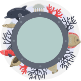 Coral Reef Essay: Descriptive Writing How-to Guide